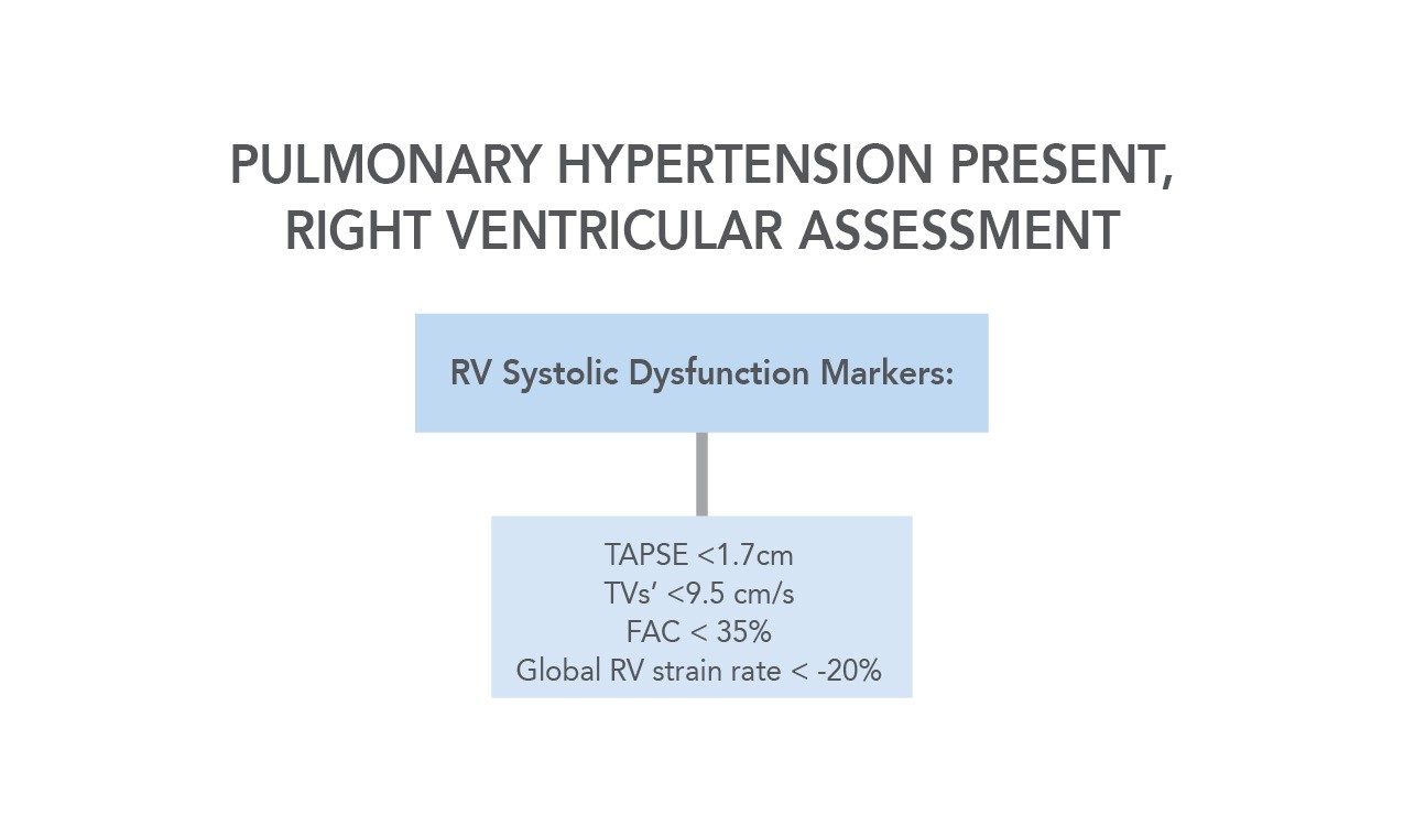 Echocardiographic Assessment of Pulmonary Hypertension | NorthWest ...